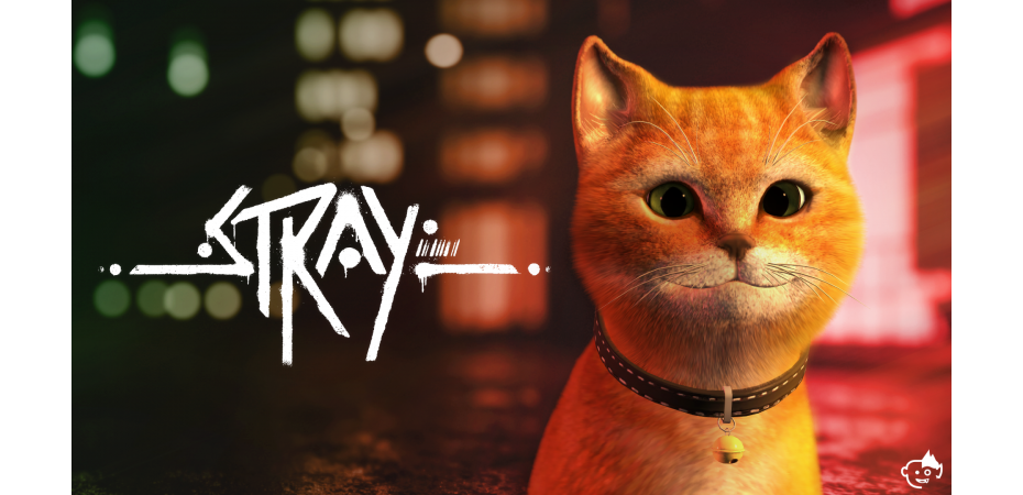 Latest News about Animaze!